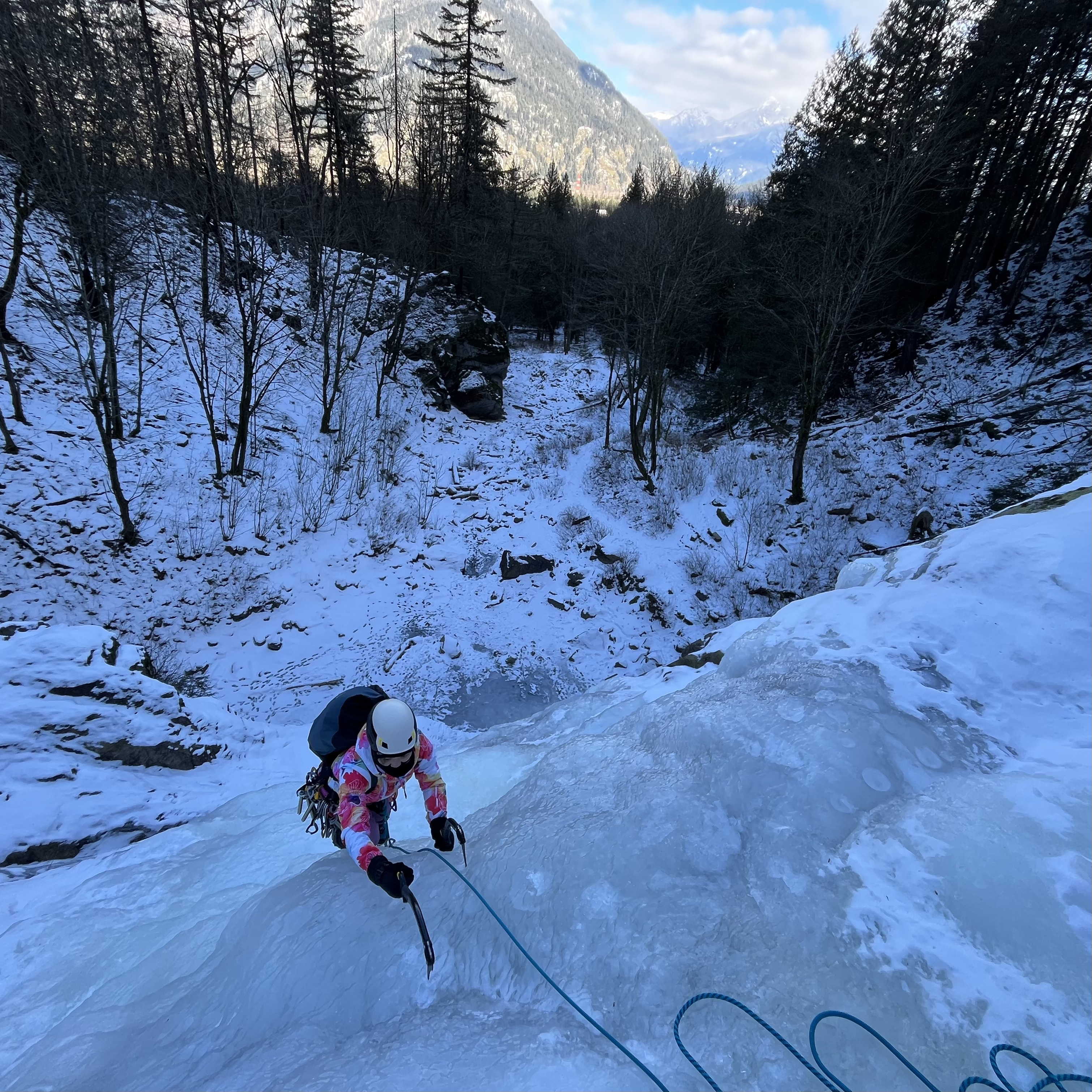 Siying (Alice) Wang | Assistant Professor, Shanghai University of Finance and Economics