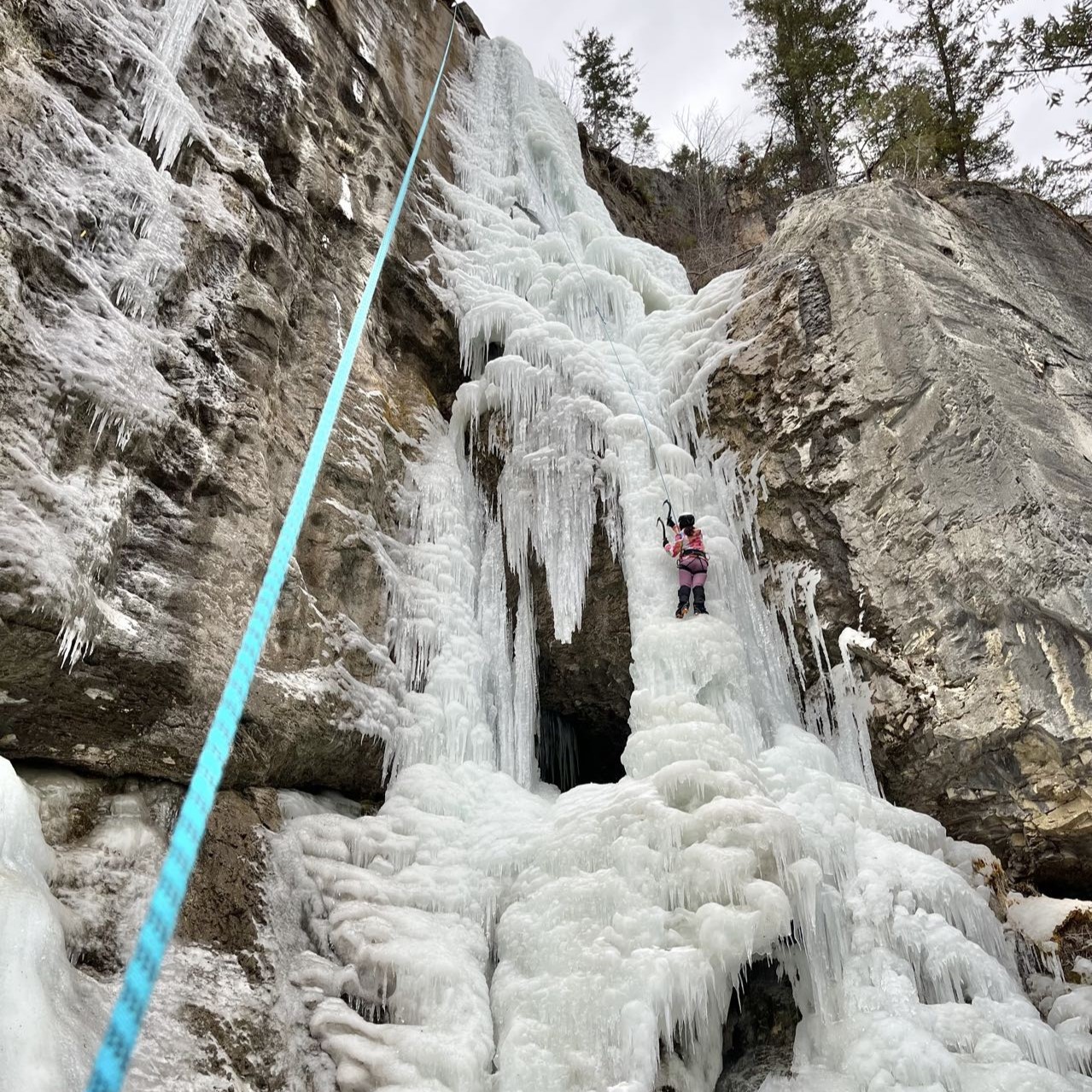 Siying (Alice) Wang | Assistant Professor, Shanghai University of ...